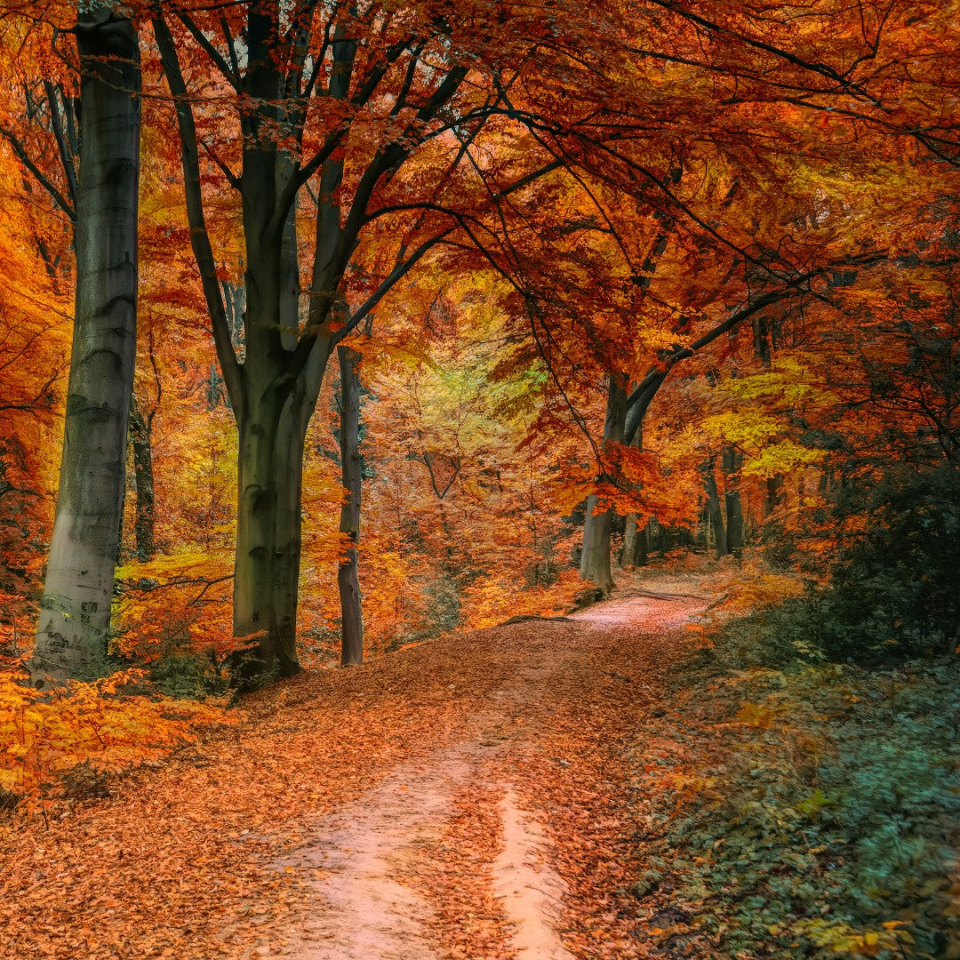 Fall Day Trips Near New York City – recoup